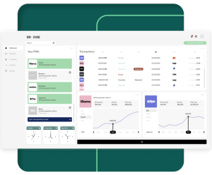 Streamlined, leading payment orchestration solution - BR-DGE